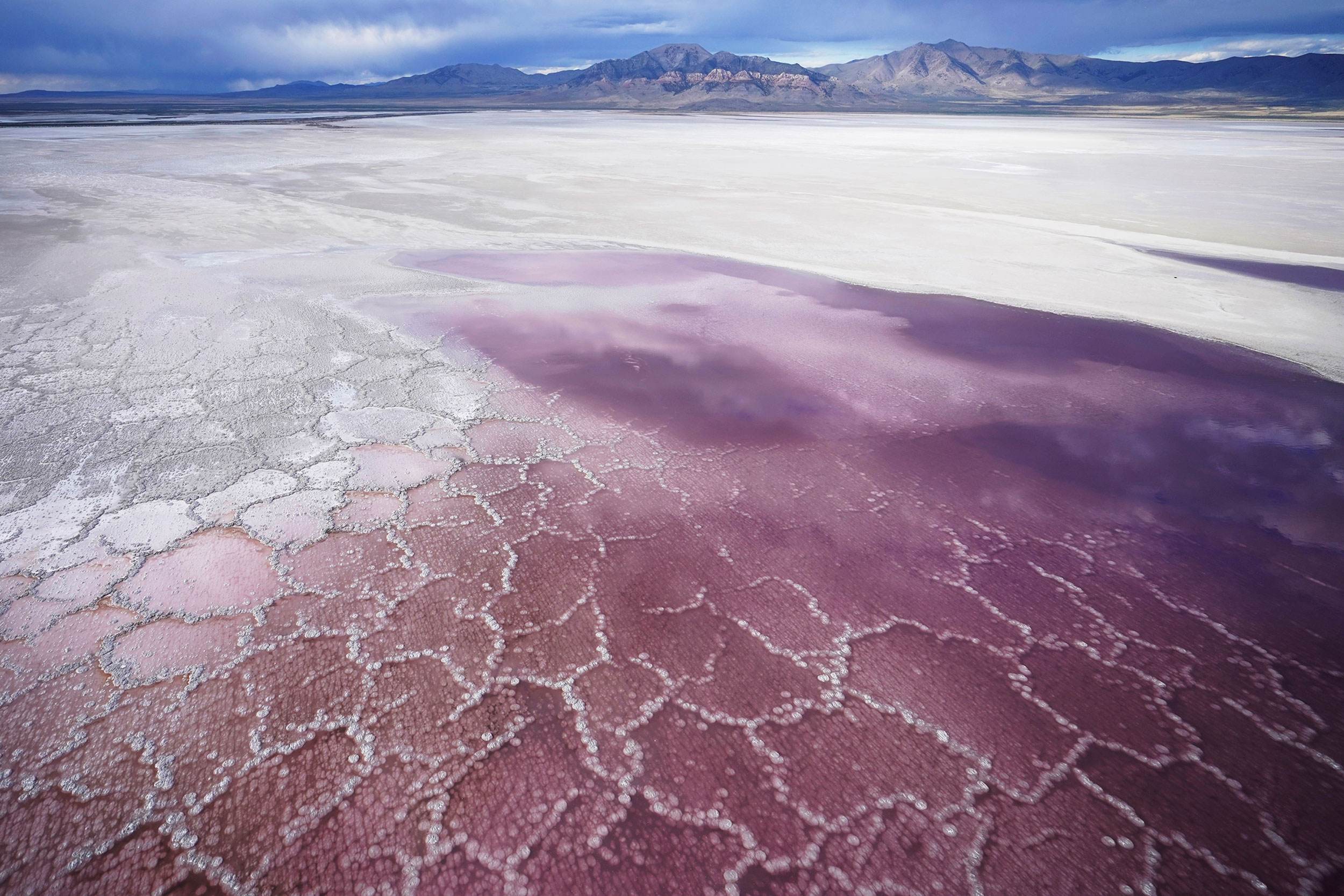 Cientistas tentam salvar Grande Lago Salgado antes que ele se torne ...