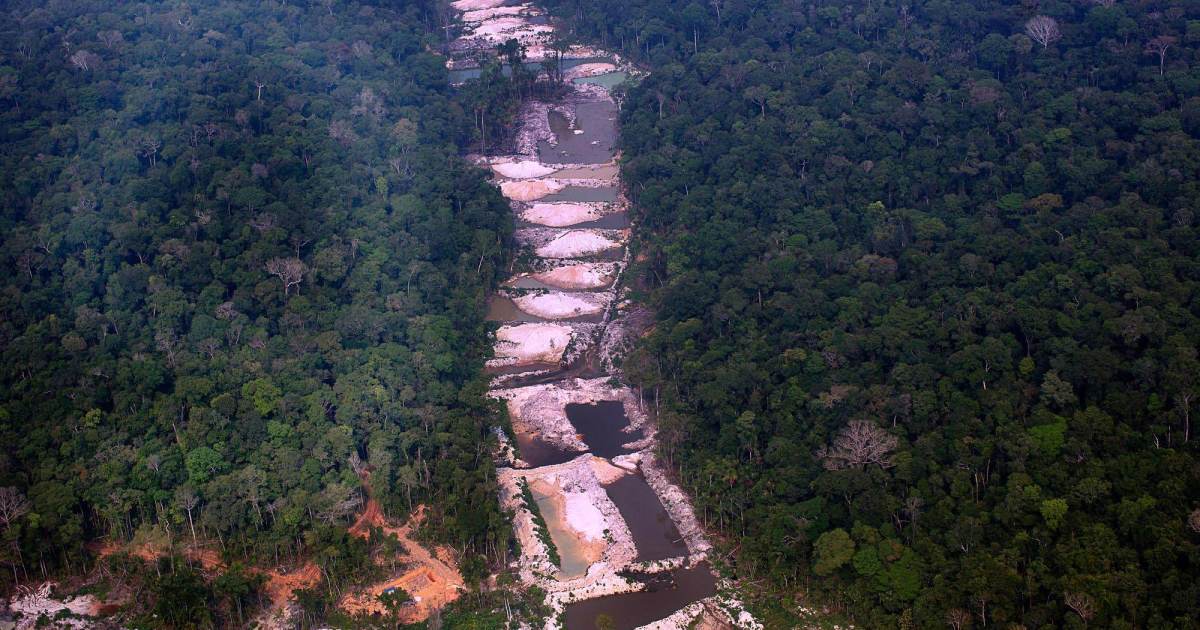 Amazônia Legal concentra mortes por conflitos no campo brasileiro | CNN ...