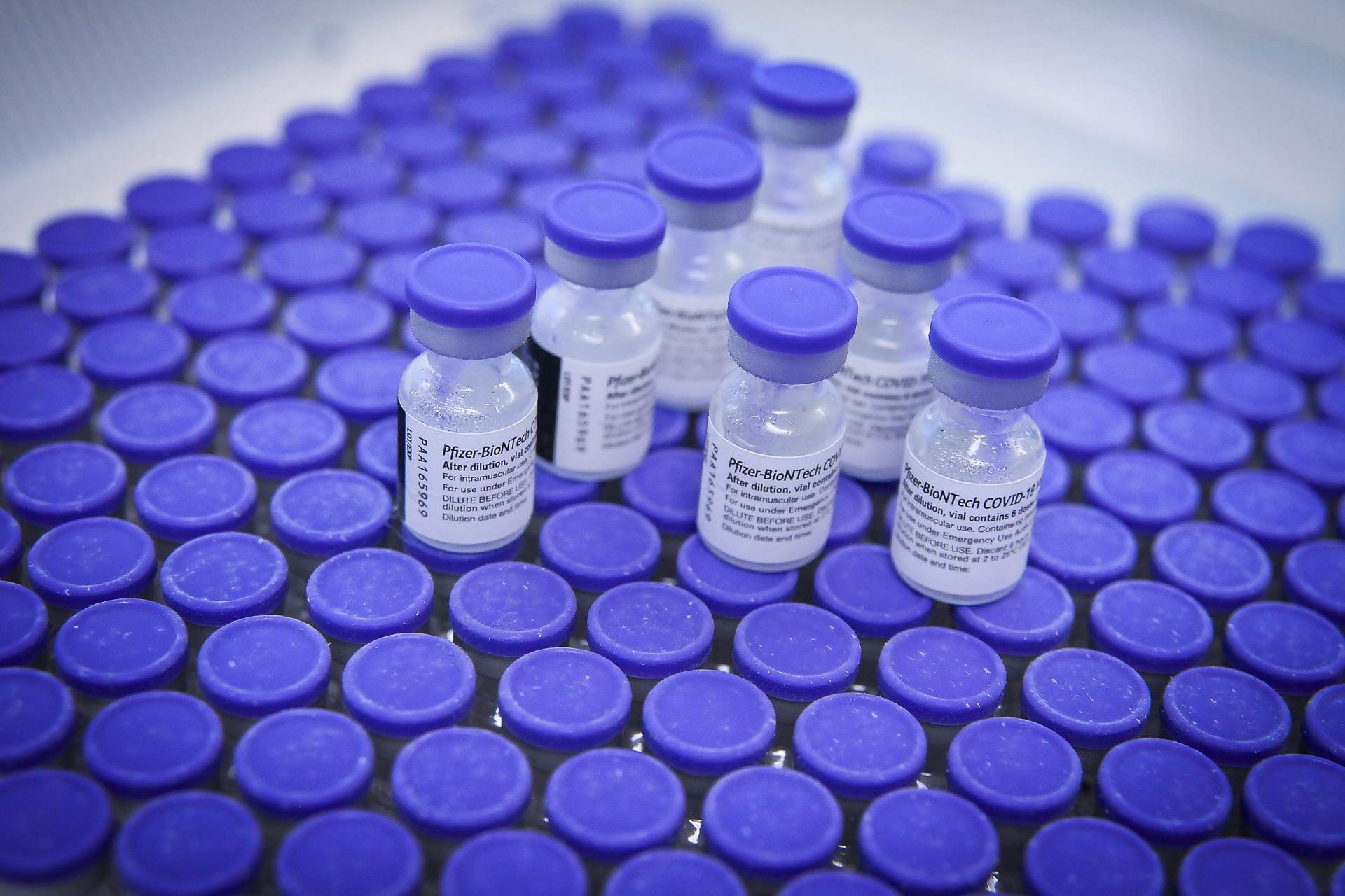 Brasil recebe mais de 8 milhões de doses da Pfizer em cinco dias | CNN ...