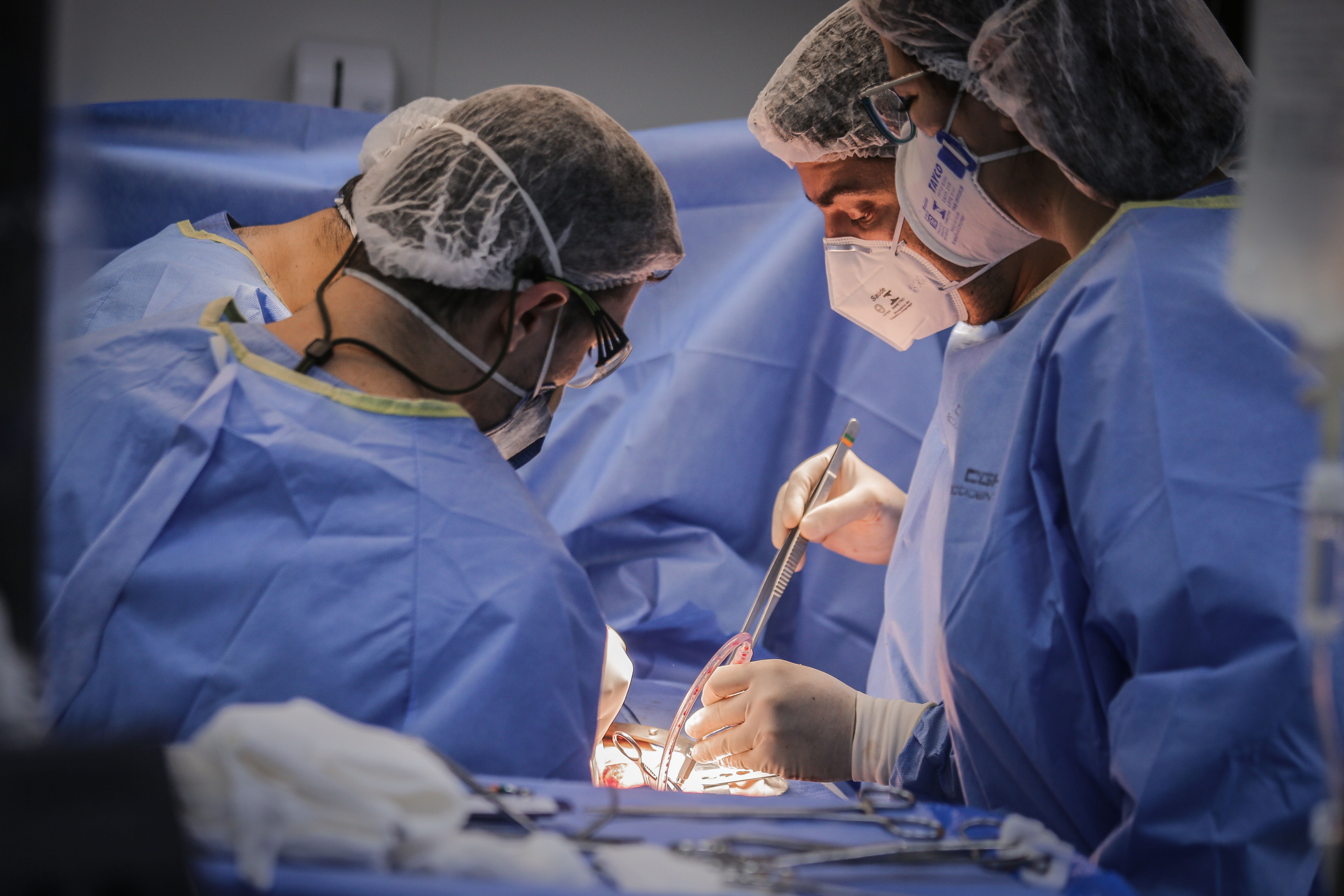 Brasil é o terceiro maior transplantador de rins do mundo | CNN Brasil