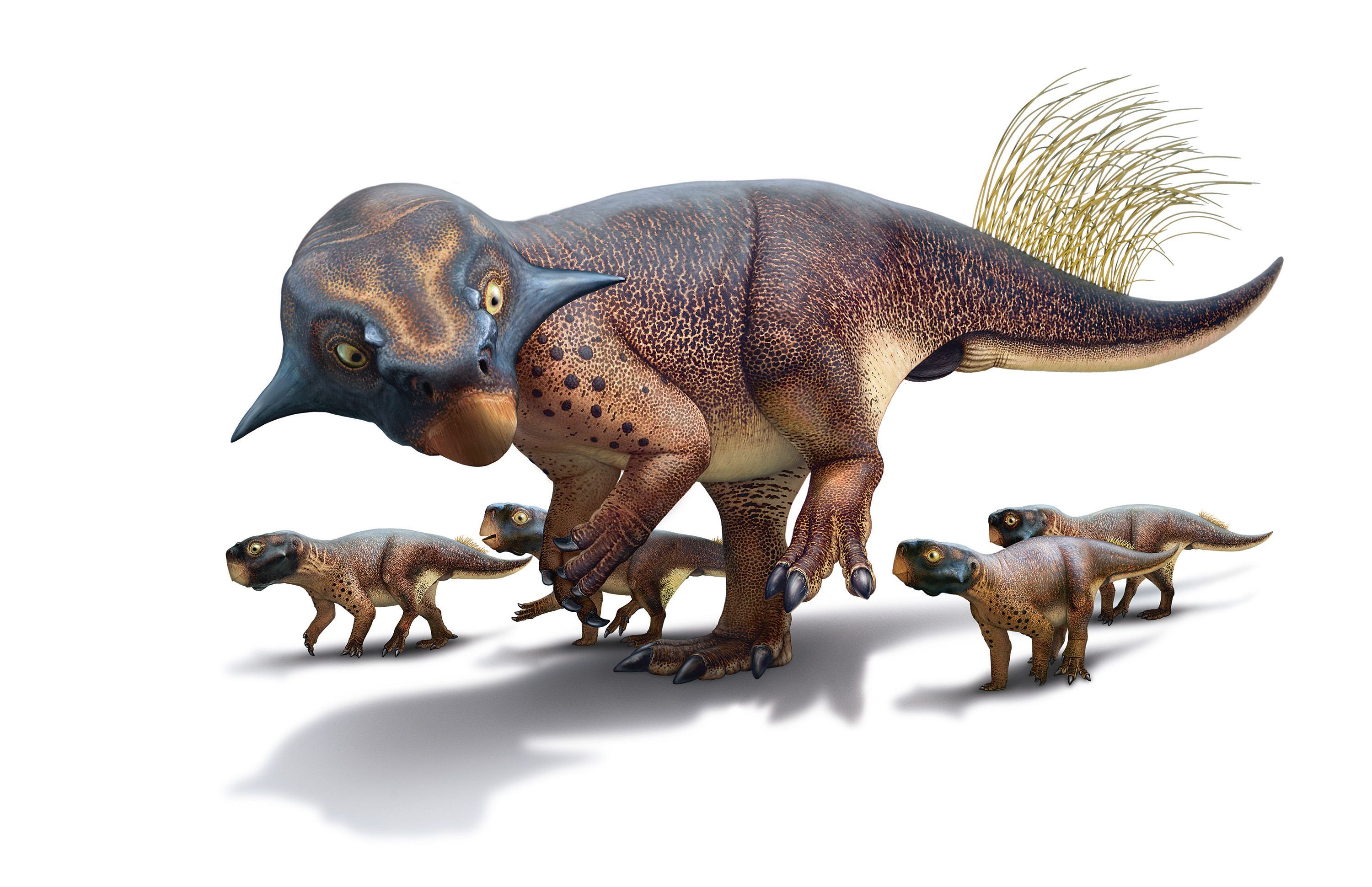 Pesquisador mostra verdadeira aparência dos dinossauros em livro | CNN ...