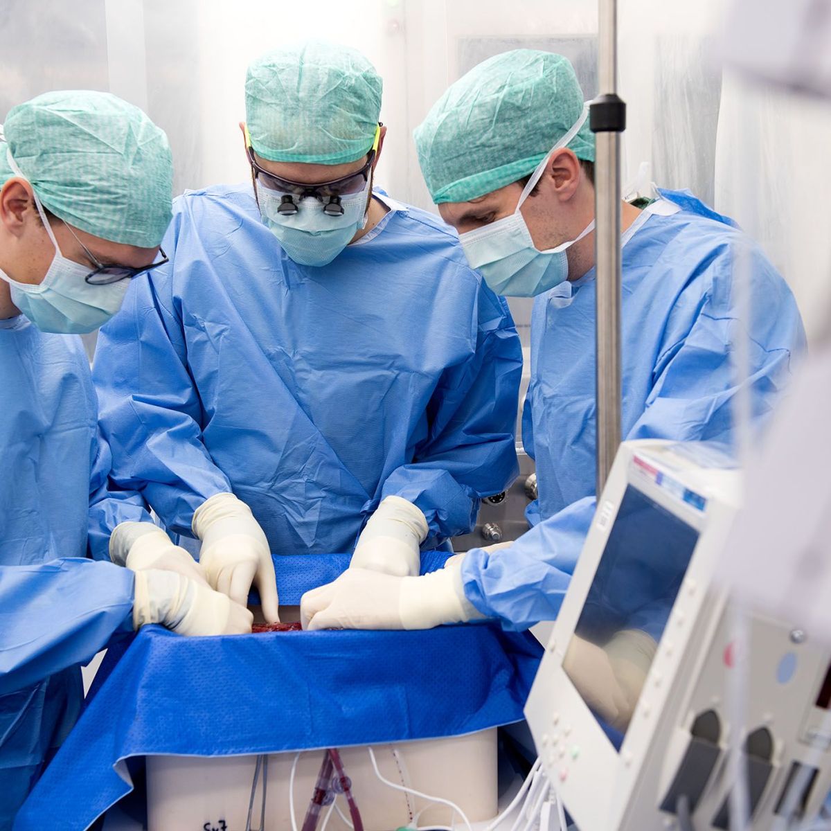 Cicatriz De Transplante De Figado Transplante De Fígado Prof Dr.