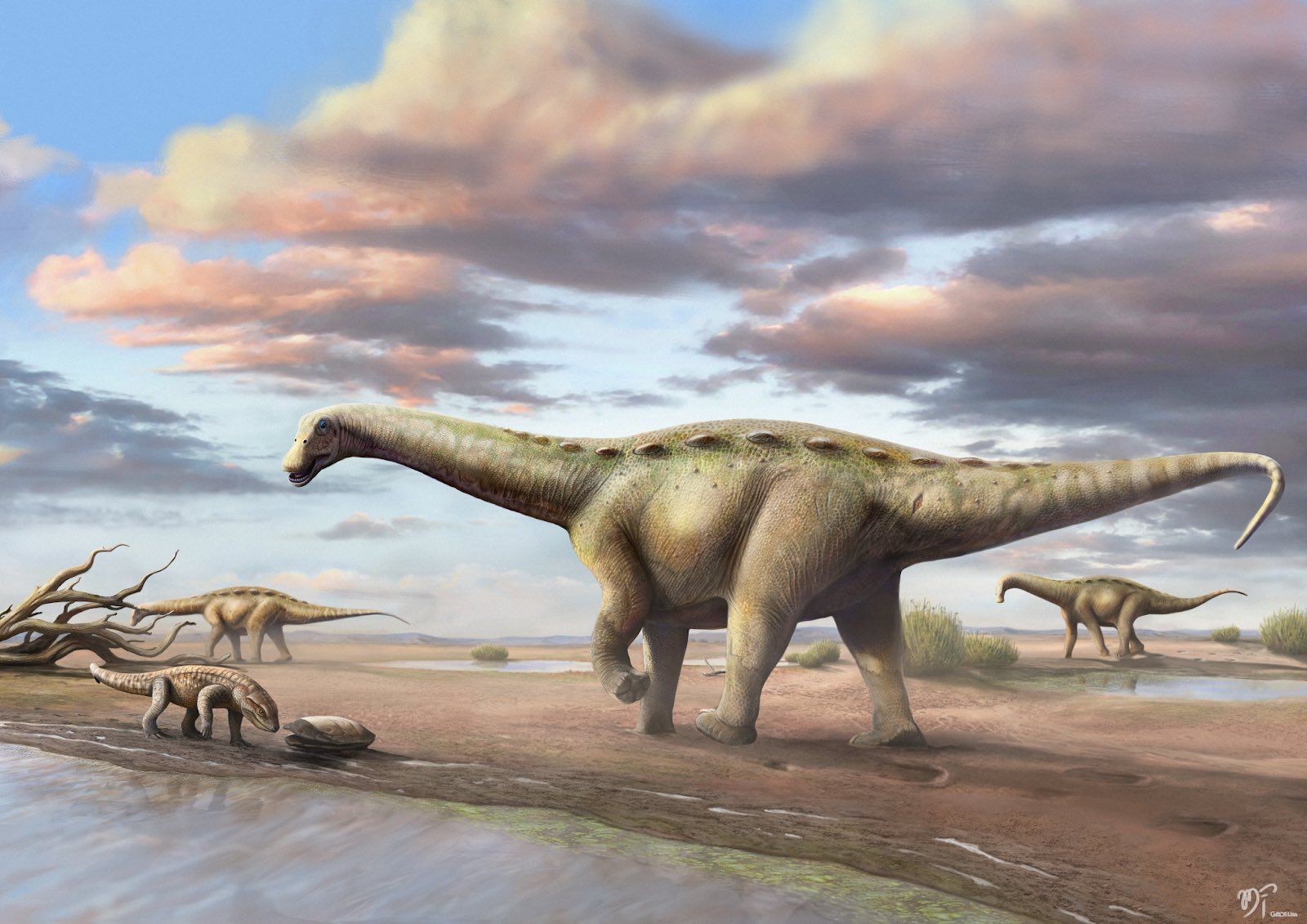 Cientistas descobrem nova espécie de dinossauro anão no interior de SP ...