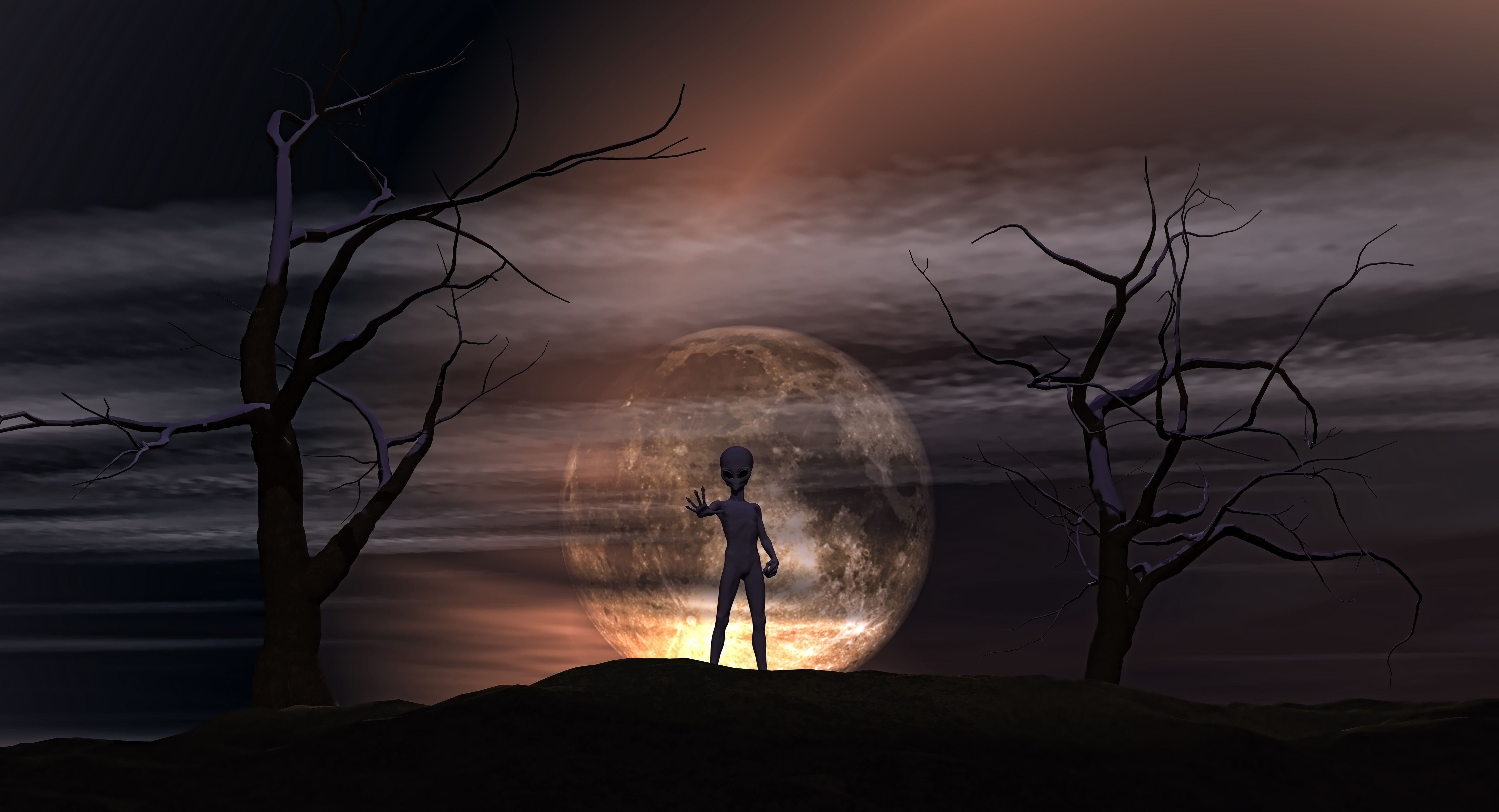 Alienígenas em 2023? Homem que se diz viajante do tempo prevê que Terra ...