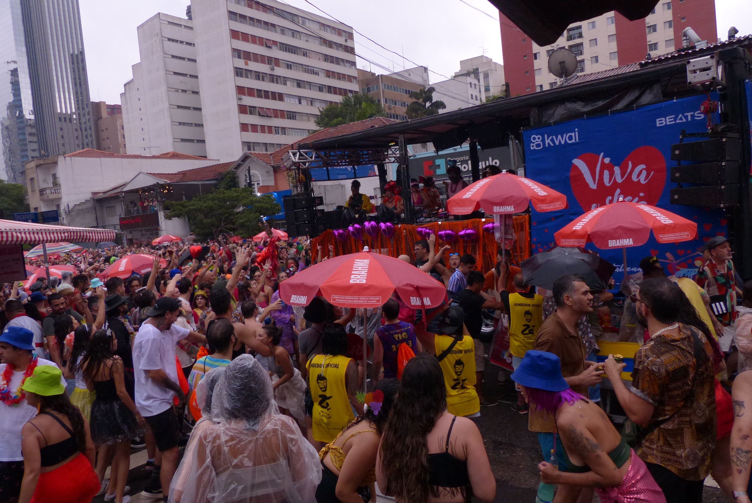 Mesmo com chuva, multidões vão às ruas no pré-Carnaval de São Paulo ...
