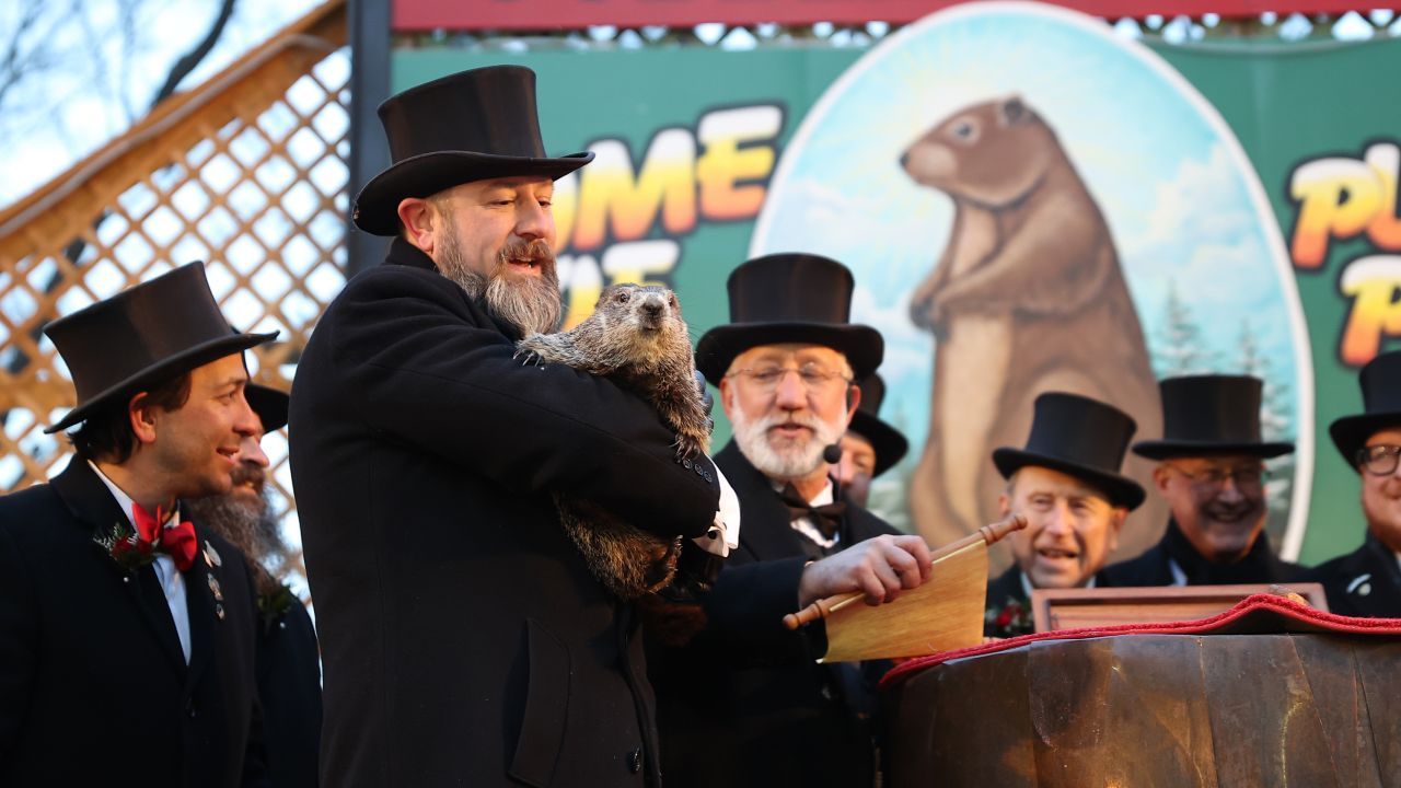 Hoje é Dia da Marmota: entenda a história bizarra de previsão do tempo ...