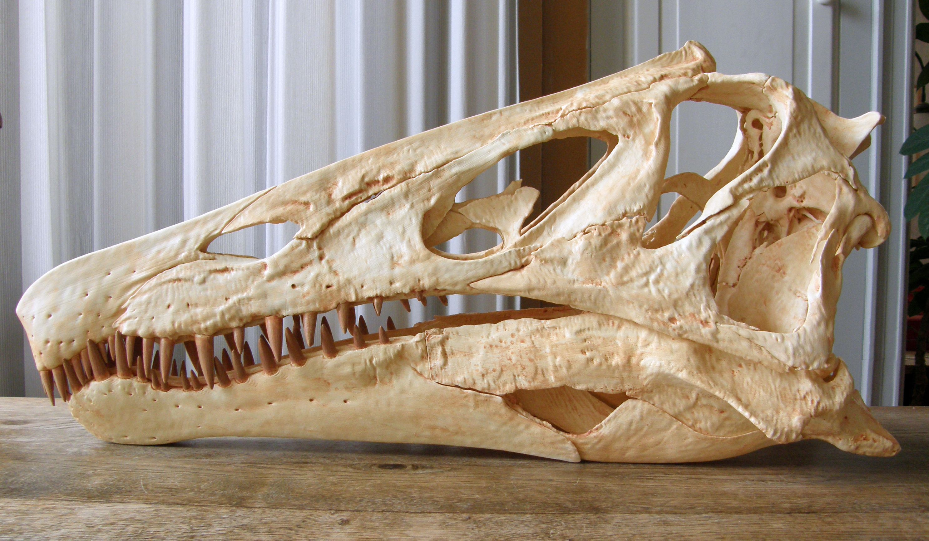 Crânio de dinossauro brasileiro é reconstituído por entusiasta na ...