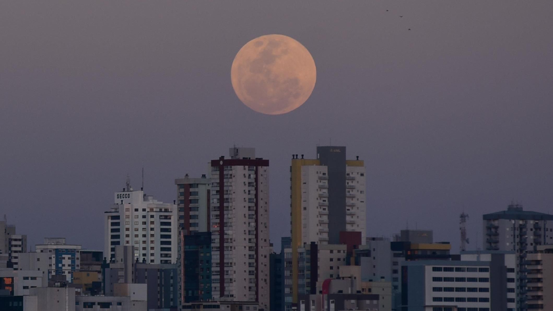 Superlua azul: como observar fenômeno raro que acontece nesta segunda ...