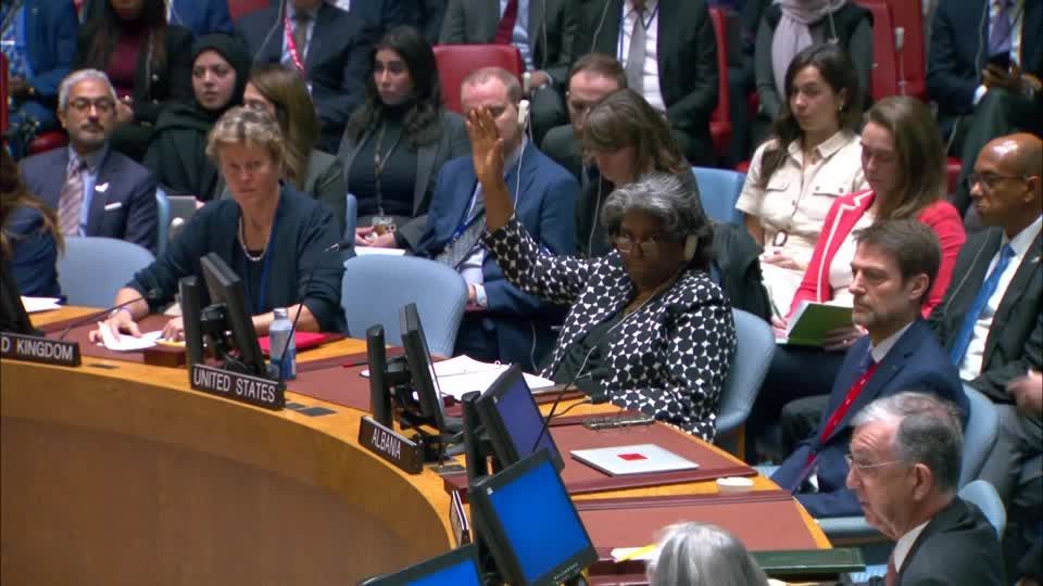 EUA vetam resolução do Brasil sobre guerra no Conselho de Segurança da ...