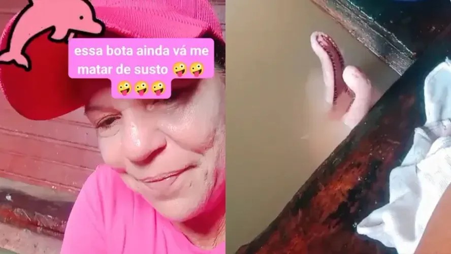 Vídeo: mulher é surpreendida por boto rosa enquanto lava a louça em pia ...