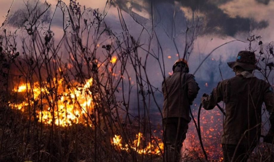 Governo prepara pacote ambiental contra queimadas para apresentar à ONU ...