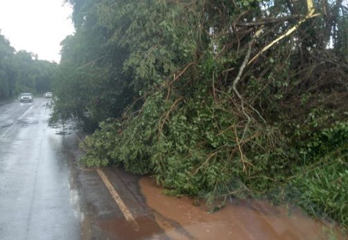 Santa Catarina registra estragos em estradas depois de temporal | CNN ...