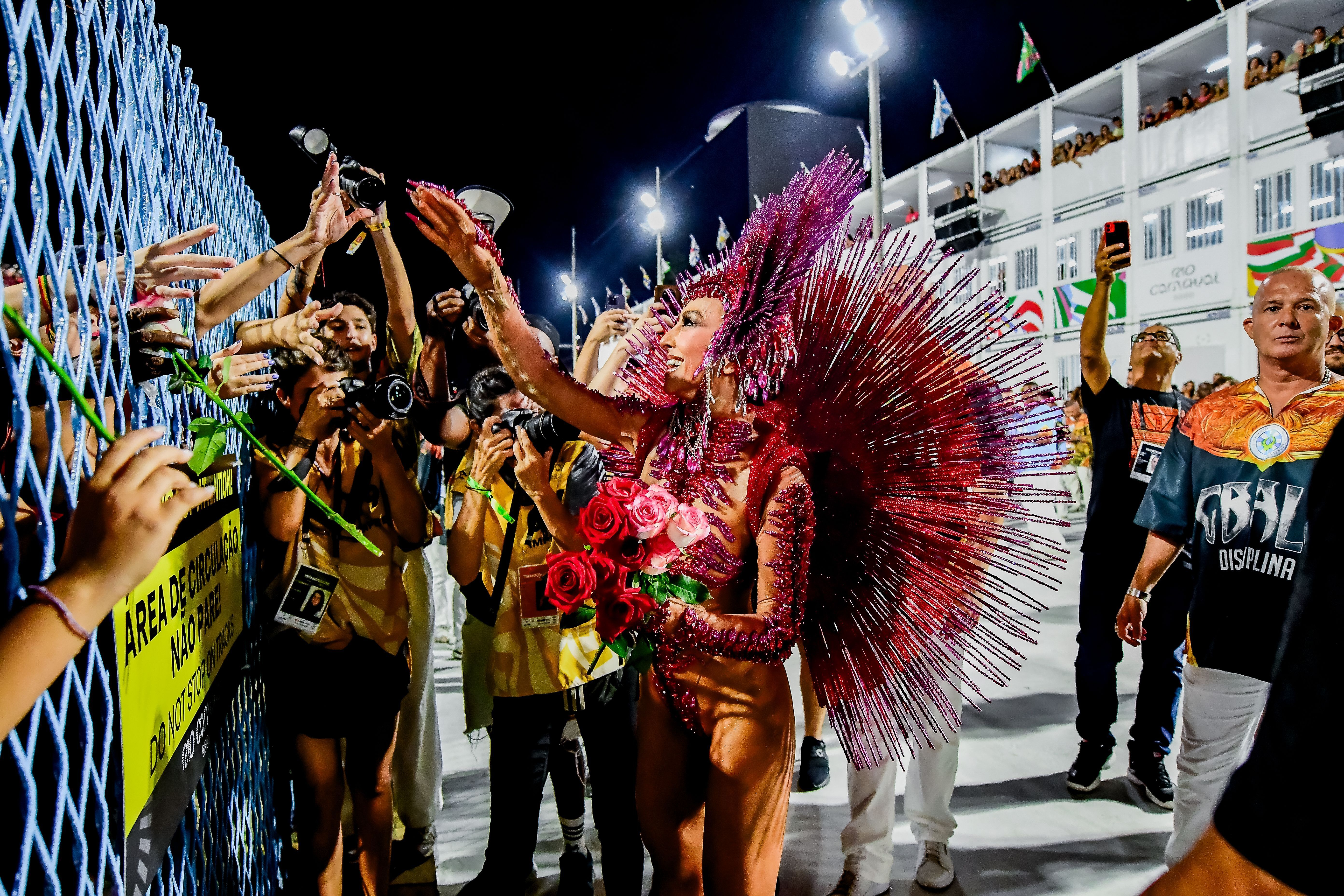 Carnaval 2024: veja fotos dos famosos no Desfile das Campeãs no Rio e ...