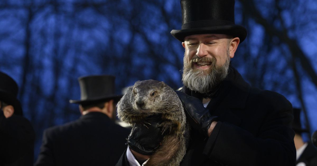 Dia da Marmota: Saiba como surgiu a tradição americana que prevê o ...