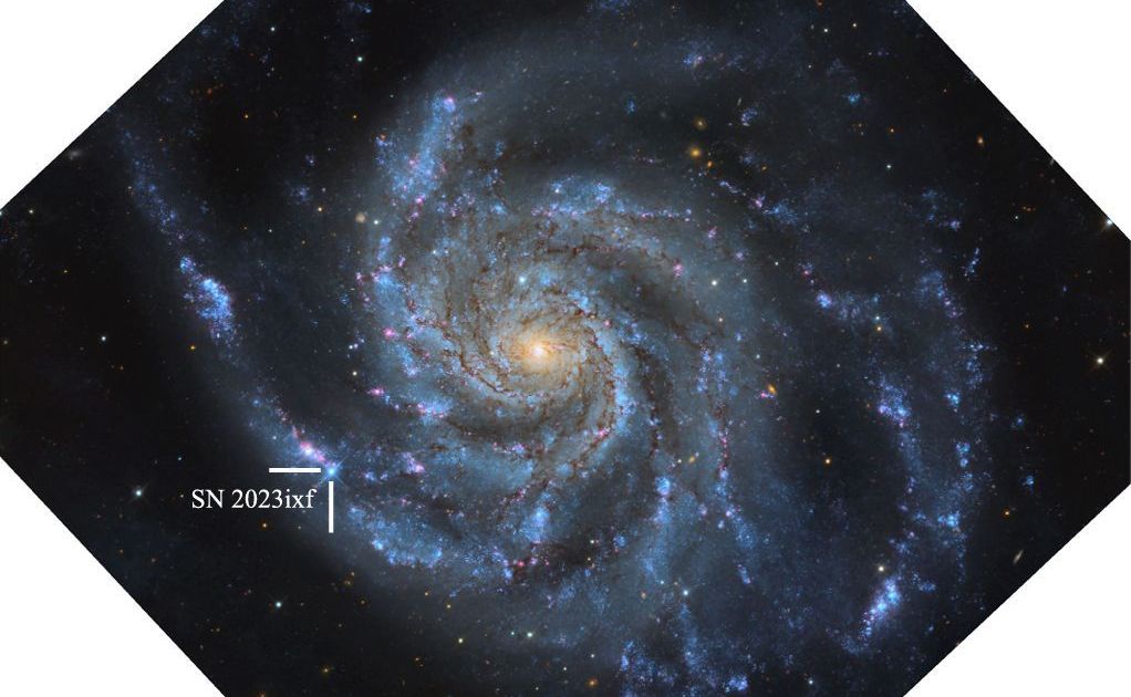 Cientistas descrevem as primeiras etapas de uma supernova em novo ...