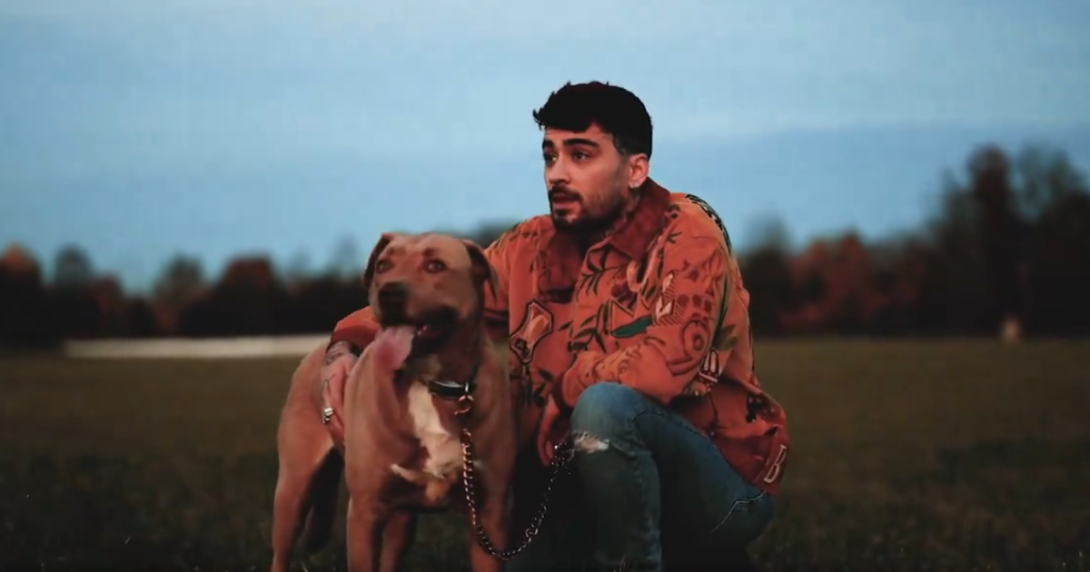 Após adiamento, Zayn, ex-One Direction, inicia 1ª turnê solo | CNN Brasil