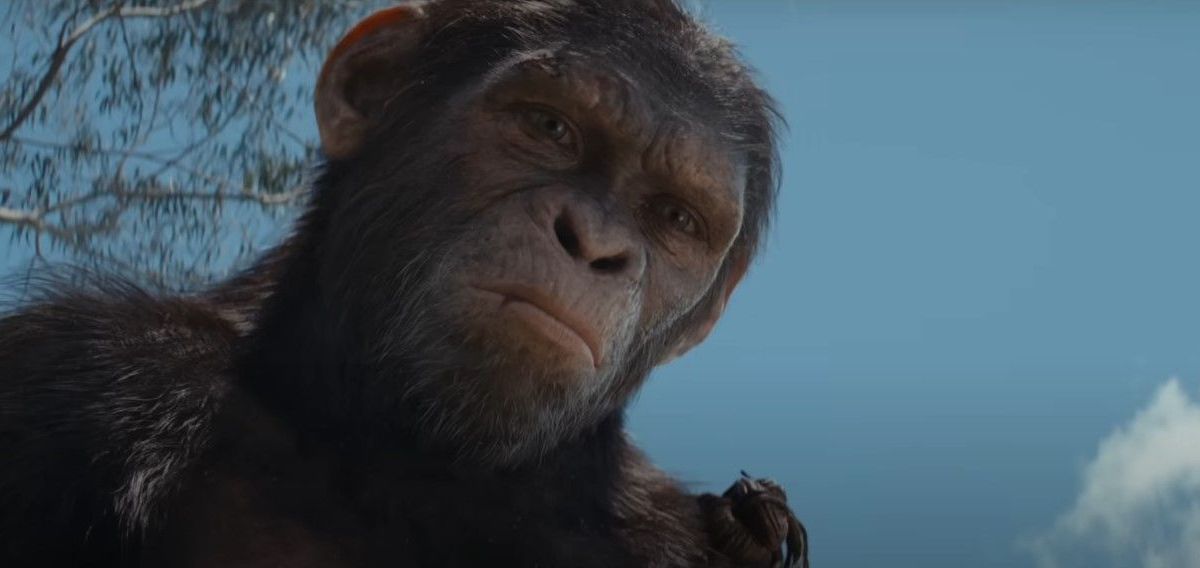 Planeta dos Macacos: entenda a ordem cronológica dos filmes | CNN Brasil