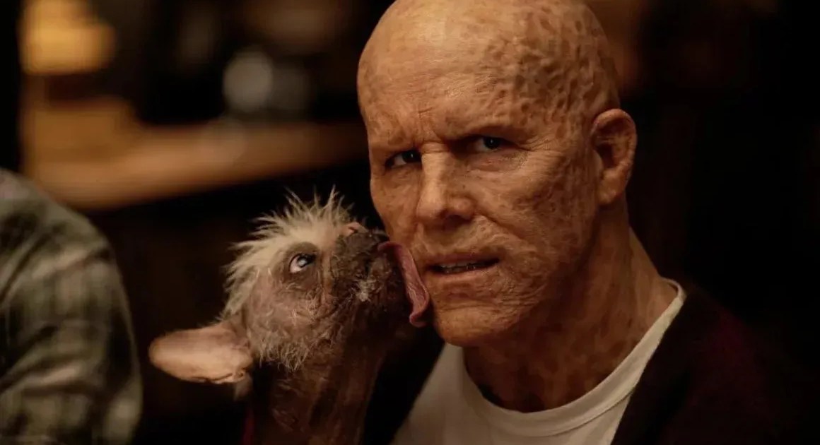 Ryan Reynolds homenageia Dogpool: “Membro muito especial” | CNN Brasil