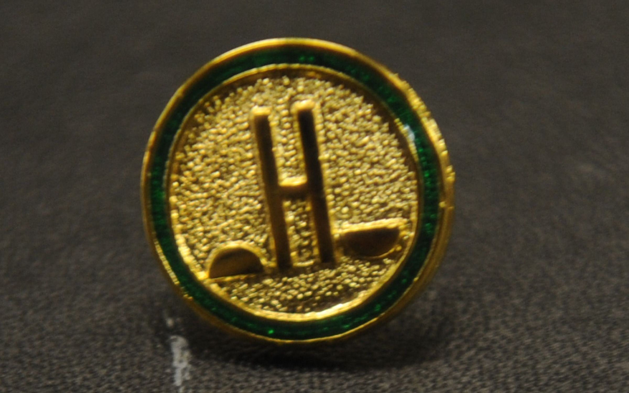 Saiba o que é o broche exclusivo de deputados para circular na Câmara ...