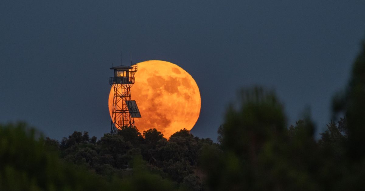 Lua cheia de morango deste mês será a mais alta do ano; entenda | CNN ...