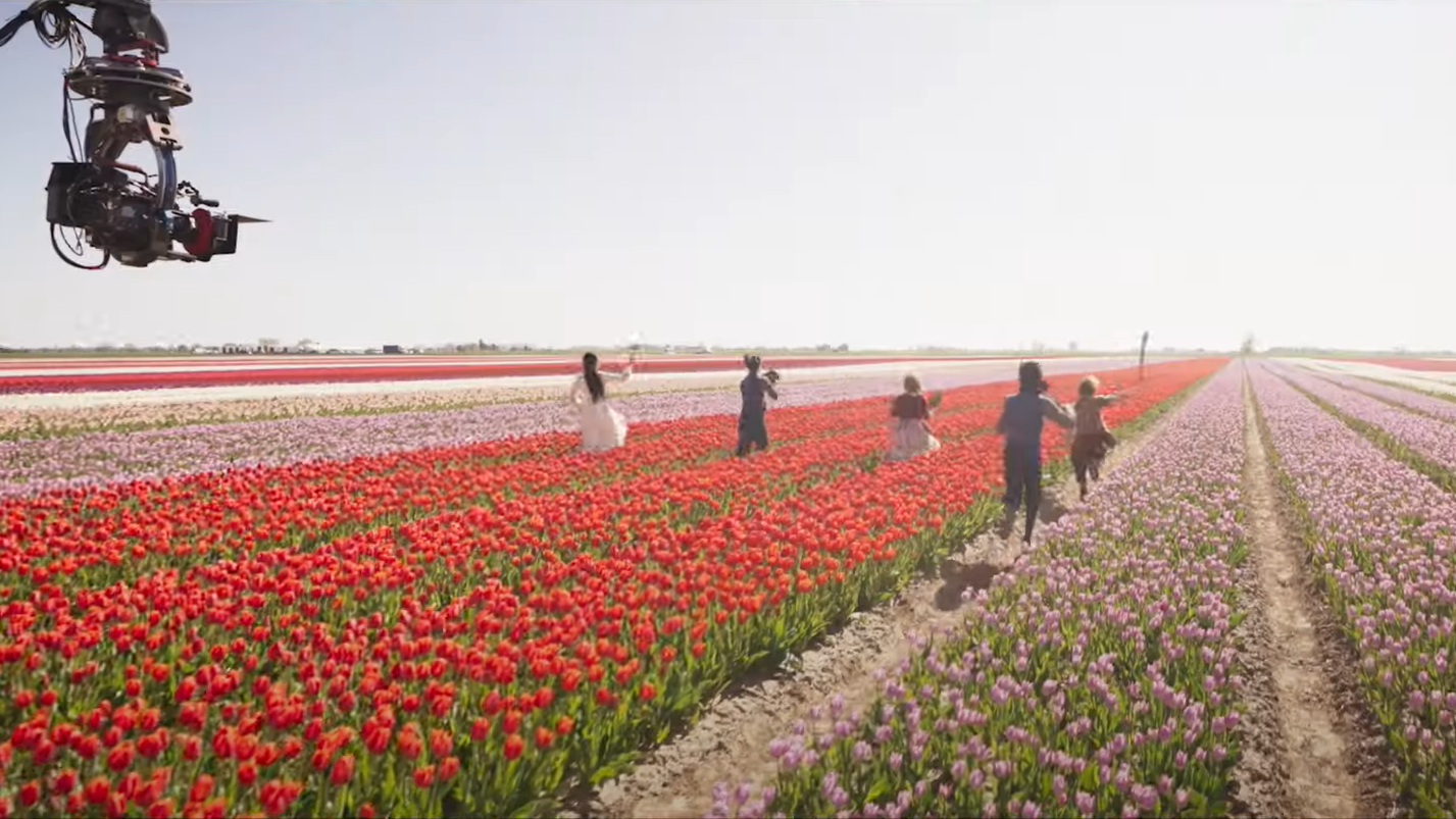 Mais de 9 milhões de tulipas foram plantadas para "Wicked"; veja ...