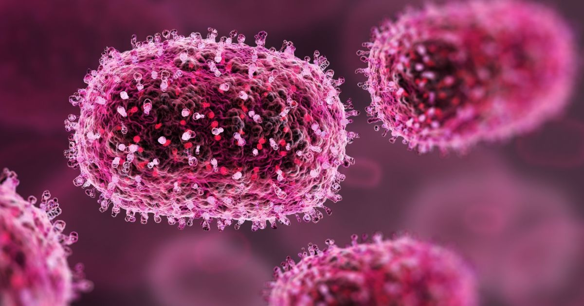 OMS atualiza lista de vírus e bactérias com potencial de causar ...