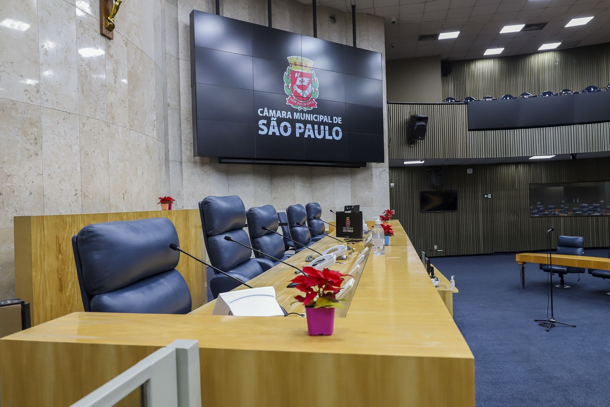 Confira a lista dos vereadores eleitos em SP | CNN Brasil Confira a lista dos vereadores eleitos em SP | CNN Brasil
