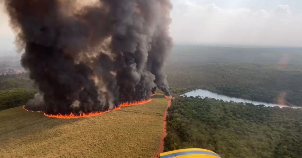 Defesa Civil emite novo alerta para risco de queimadas em SP | CNN Brasil