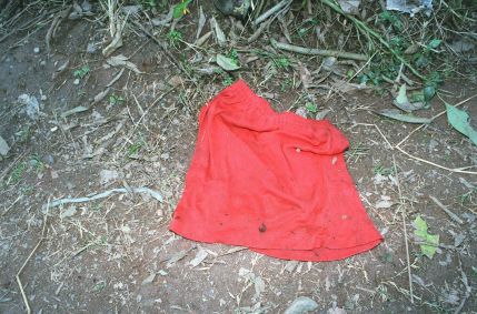 Relembre o caso do Maníaco do Parque, tema de filme que estreia hoje ...