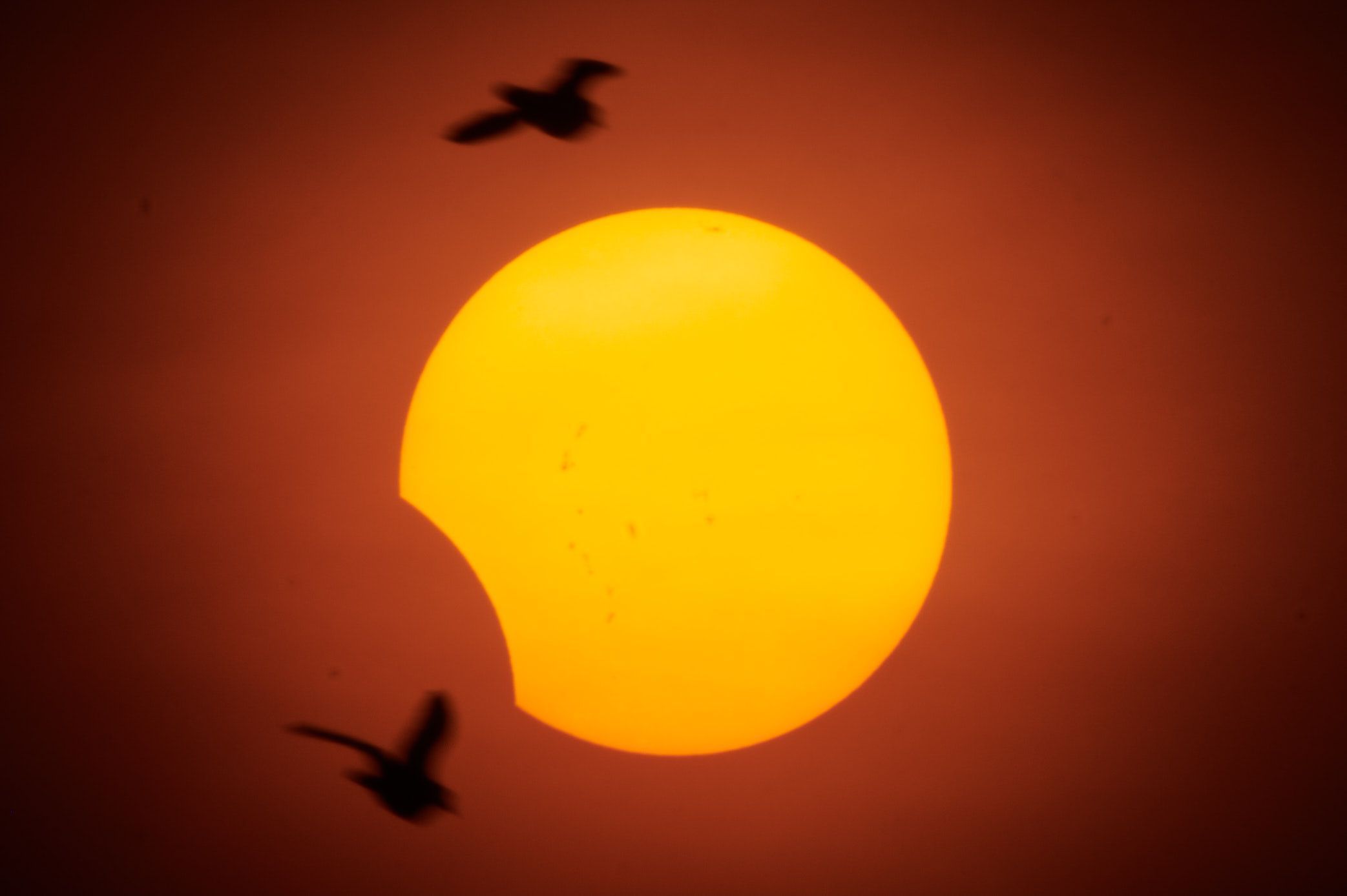 O que é um eclipse solar parcial? Saiba a diferença e conheça suas ...