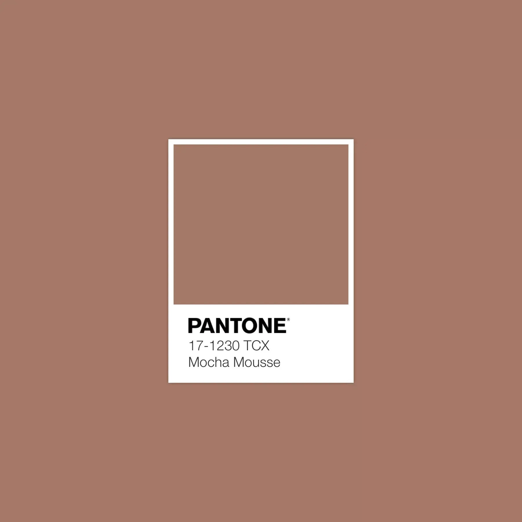 "Mocha Mousse": Pantone anuncia cor de 2025 | CNN Brasil