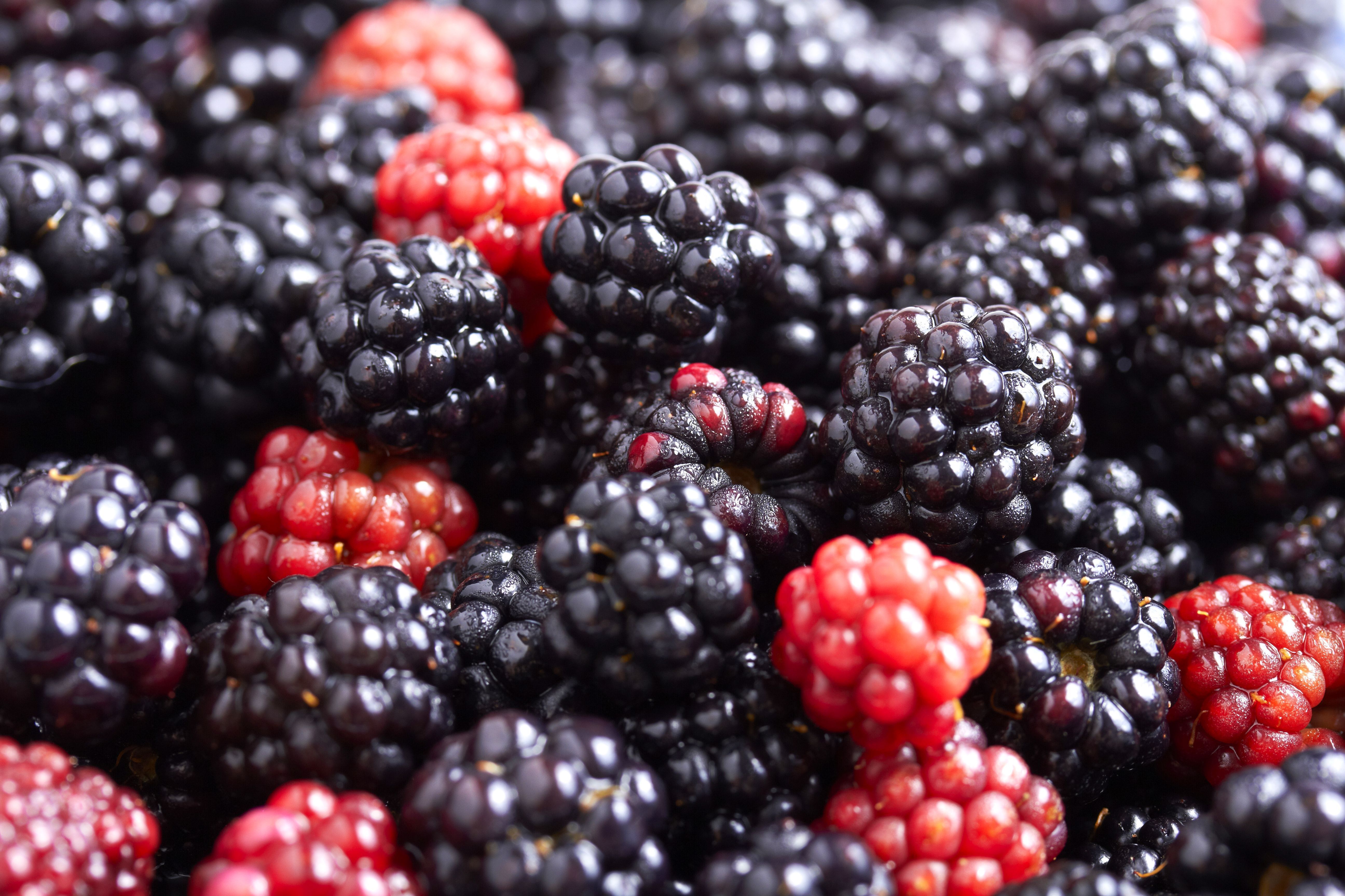 Amora protege contra diabetes e envelhecimento: veja 5 outros ...