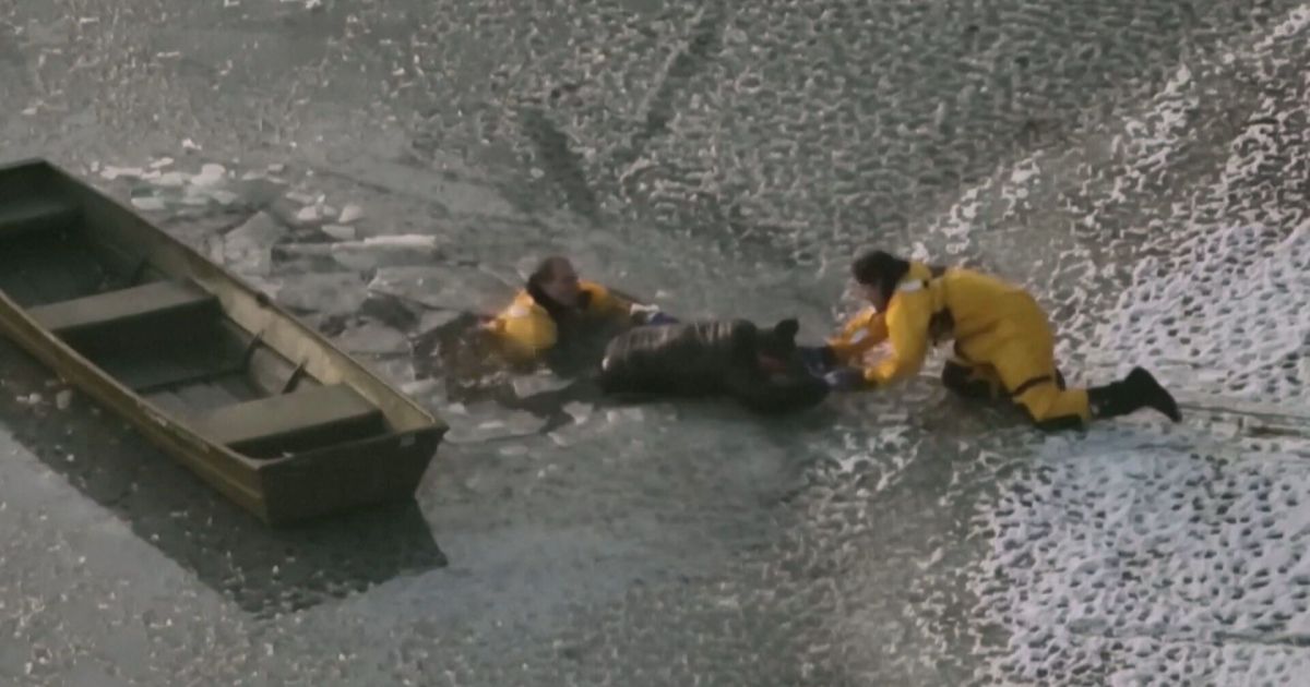 Vídeo: Cachorro e dono são resgatados após caírem em lago congelado nos ...