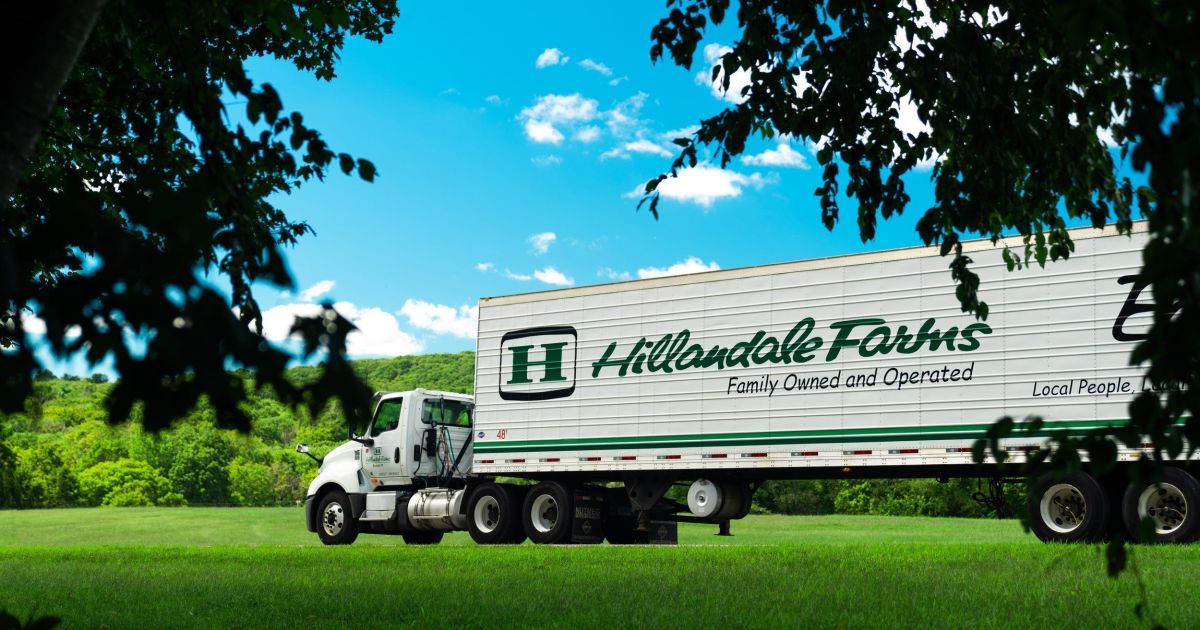 "Rei do Ovo": Granja Faria compra americana Hillandale Farms por US$ 1 ...