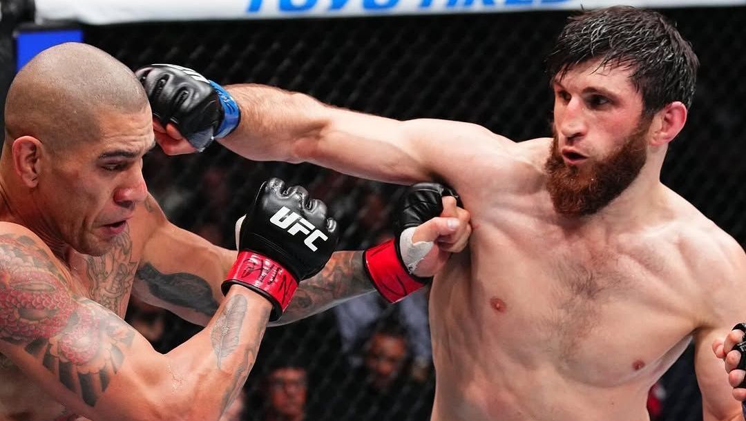 UFC: Poatan é derrotado por Ankalaev e perde cinturão dos meio-pesados ...
