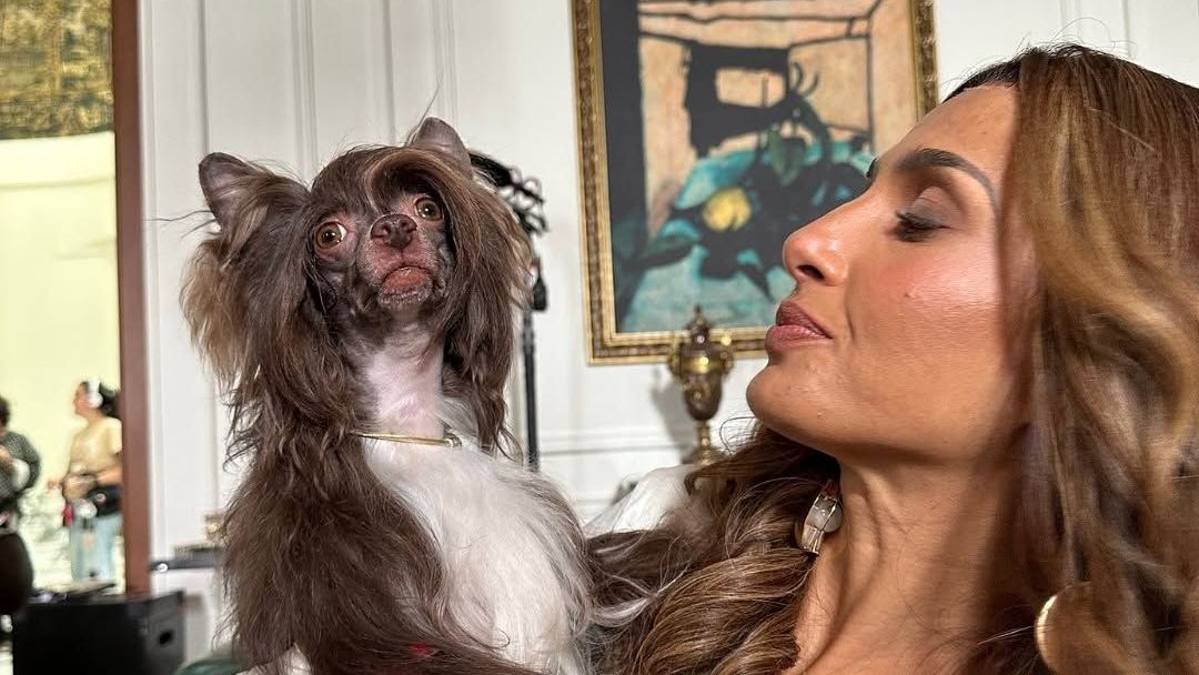 Criador de "Beleza Fatal" explica motivo do sumiço de Lolindo da novela ...