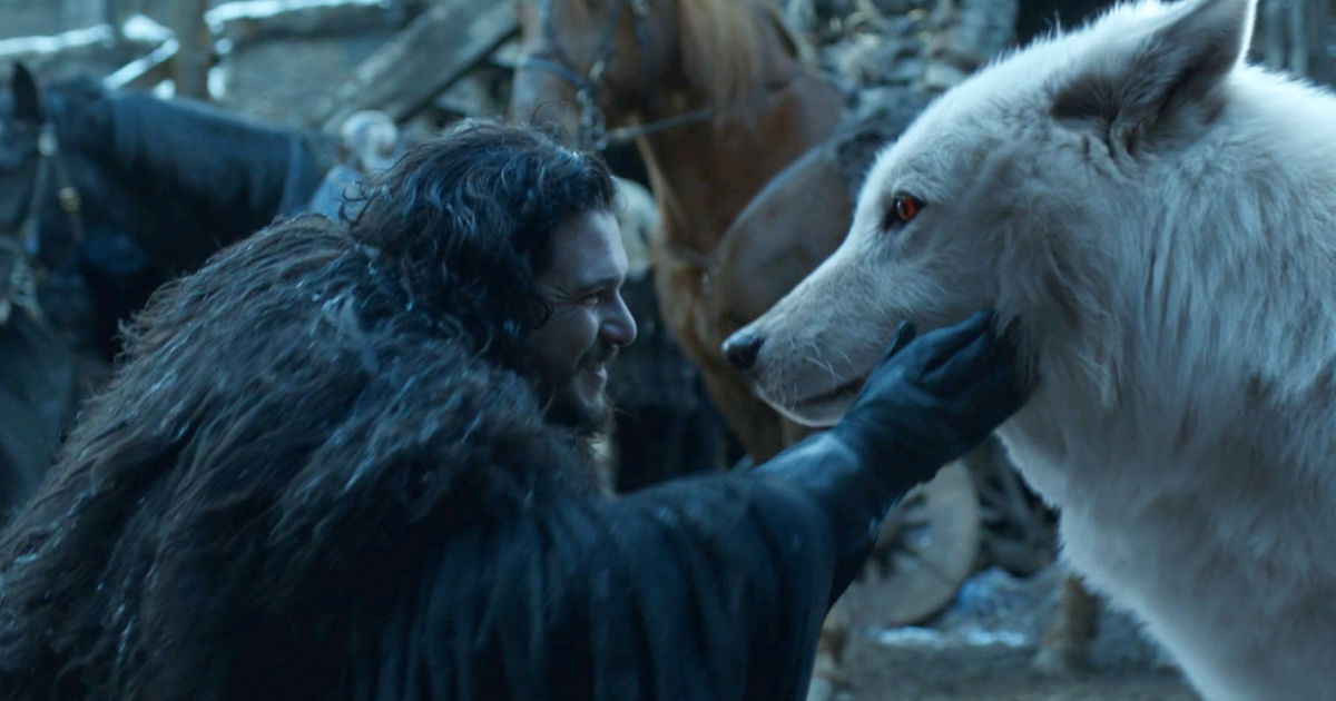 Qual é a relação dos lobos-terríveis com "Game of Thrones"? | CNN Brasil