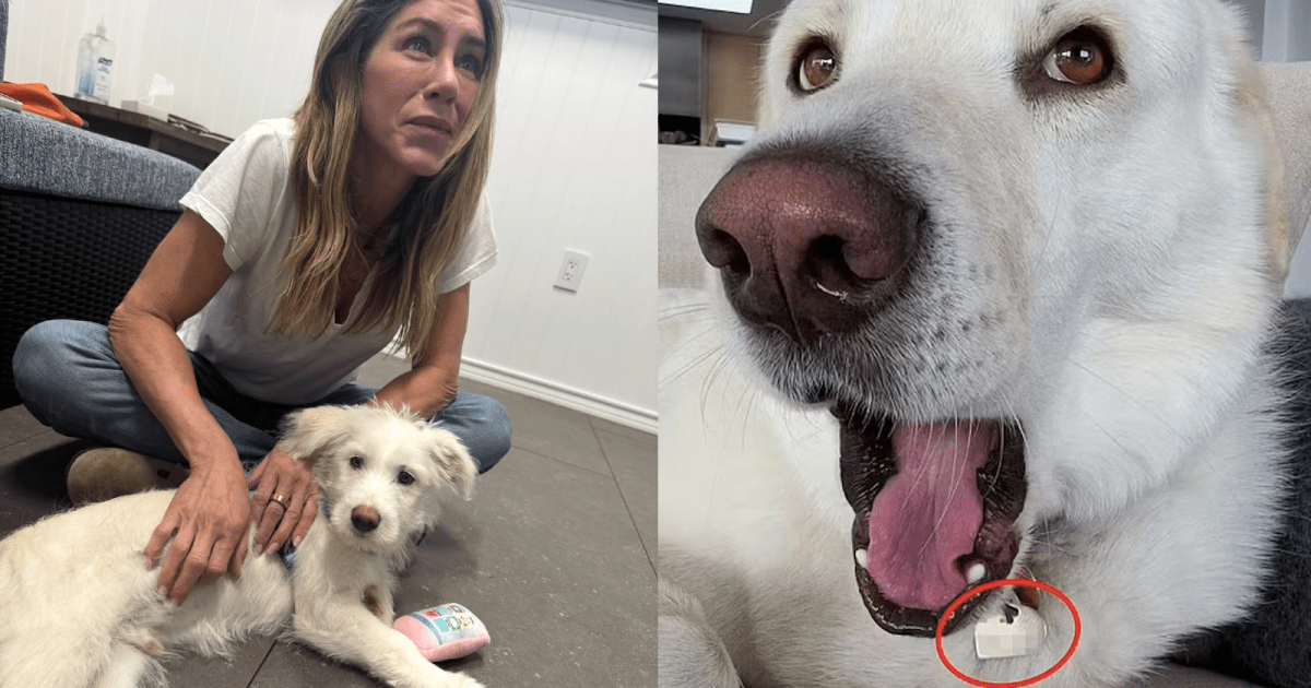 Jennifer Aniston vaza próprio celular e corre para apagar post | CNN Brasil