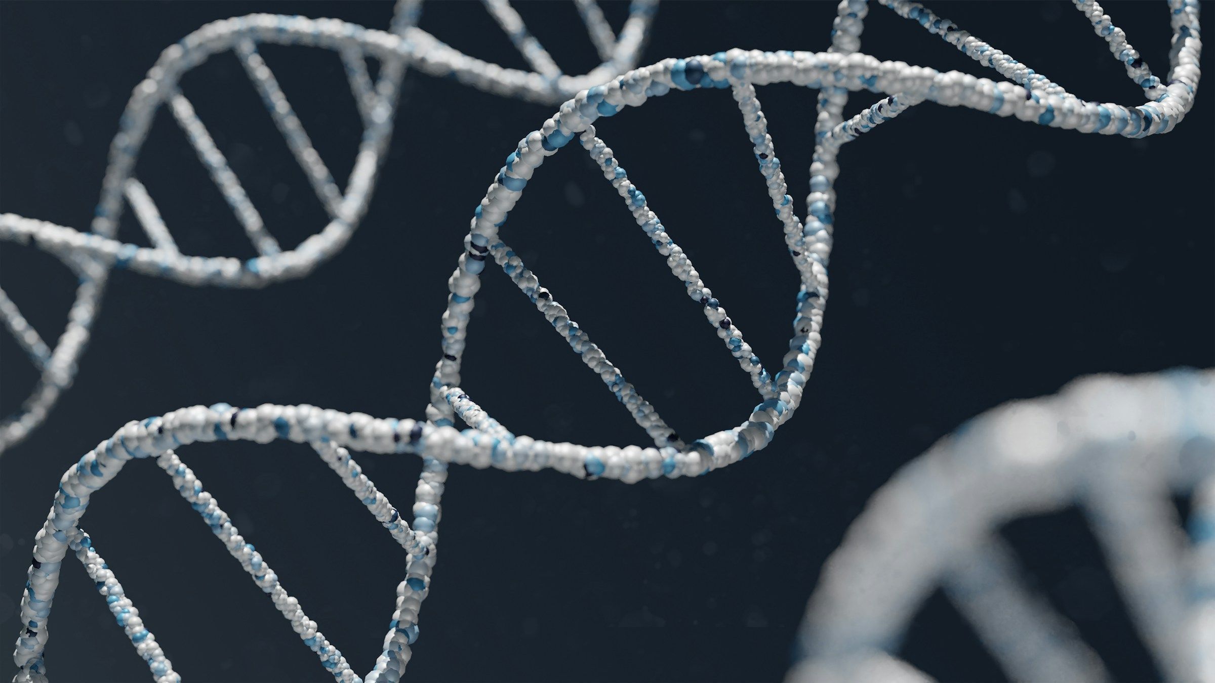 DNA é o tema mais cobrado na prova de Biologia da Fuvest | CNN Brasil