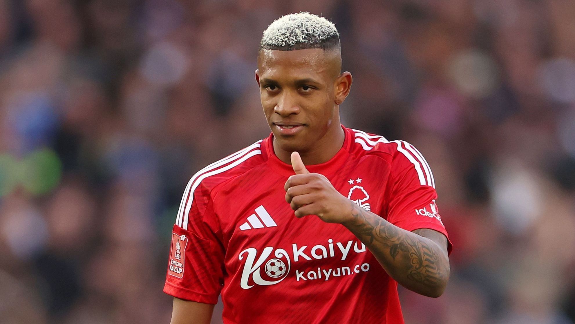 Botafogo encaminha contratação de Danilo, ex-Palmeiras | CNN Brasil