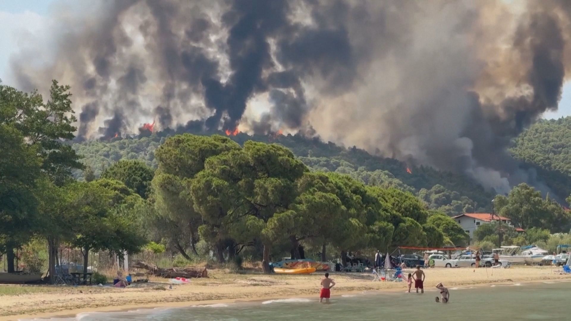 Vídeo: incêndio florestal assusta banhistas na Grécia | CNN Brasil