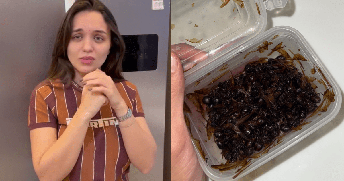 Nattan oferece inseto para Rafa Kalimann comer e reação surpreende ...