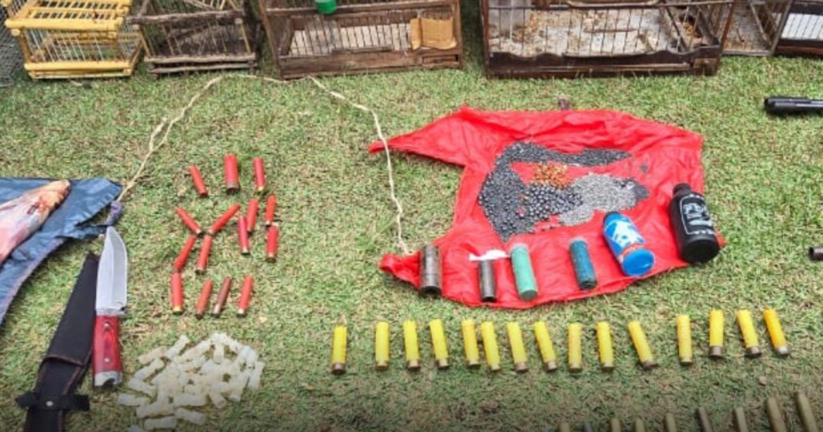 Partes de tatu, aves e quatis são encontrados mortos em área de caça ...