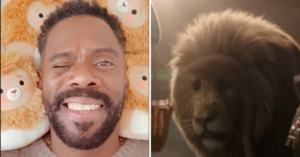 "Wicked 2": Colman Domingo é anunciado como a voz do Leão Covarde | CNN ...