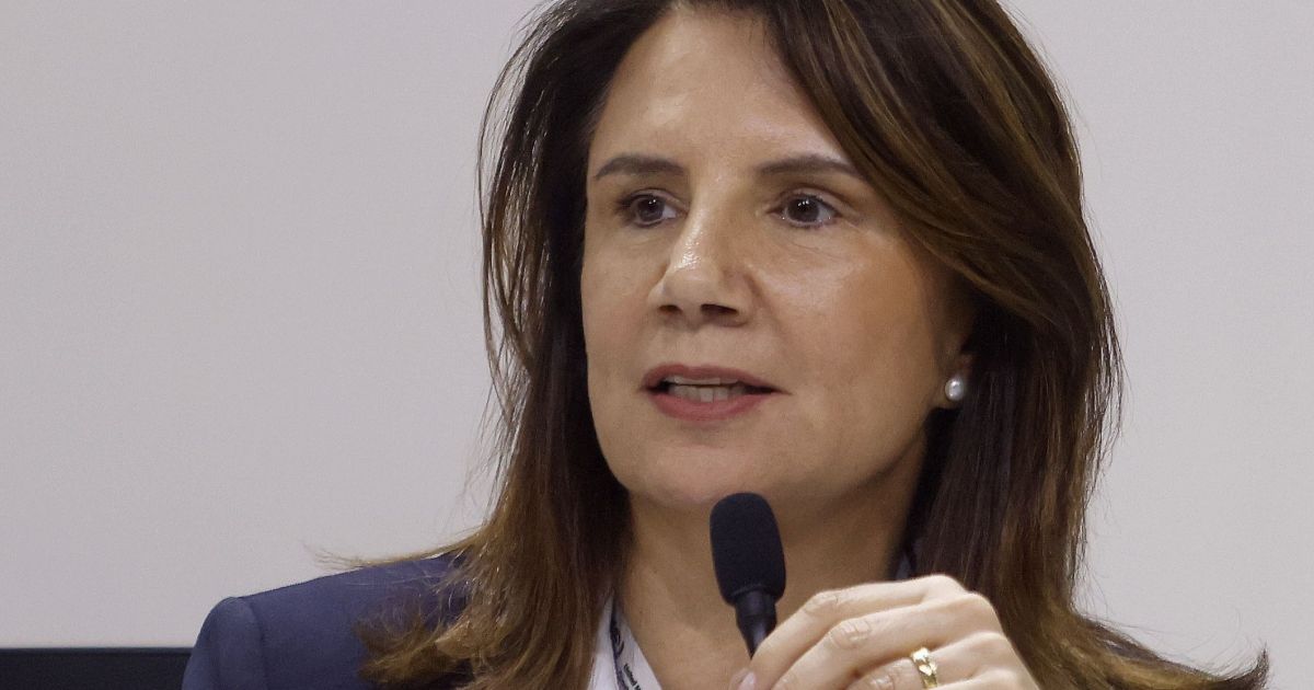 Na COP30, Ana Toni defende meios inovadores de financiamento climáticos ...