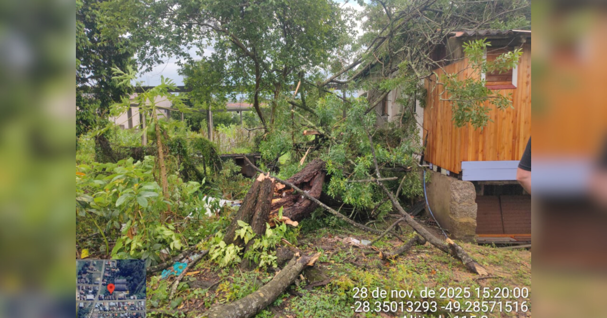 Temporal causa estragos em cidades de Santa Catarina | CNN Brasil
