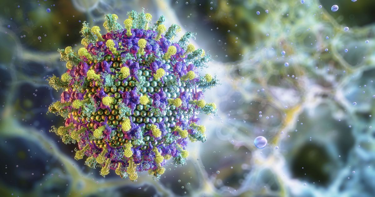 Vírus Nipah: o que é, sintomas, transmissão e tratamento | CNN Brasil