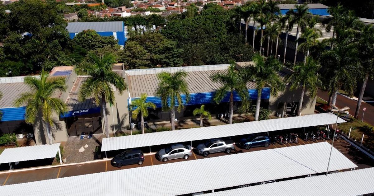 Netafim projeta crescer até 15% no Brasil e avançar em participação ...
